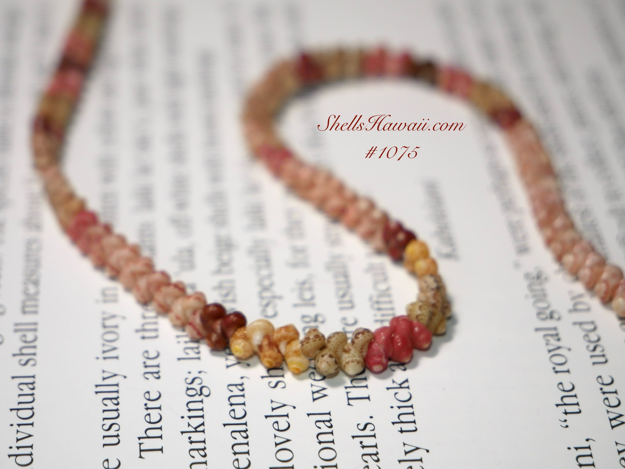 20 1/4" Niʻihau Kahelelani Shell Lei – Manuʻa Loa Style in Hawaiian ...