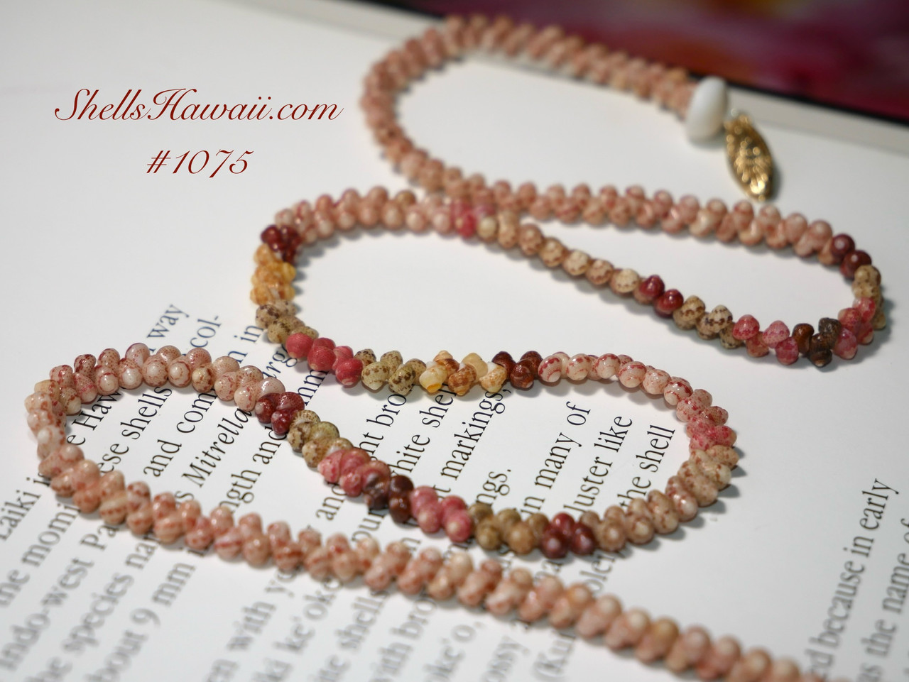 20 1/4" Niʻihau Kahelelani Shell Lei – Manuʻa Loa Style in Hawaiian ...
