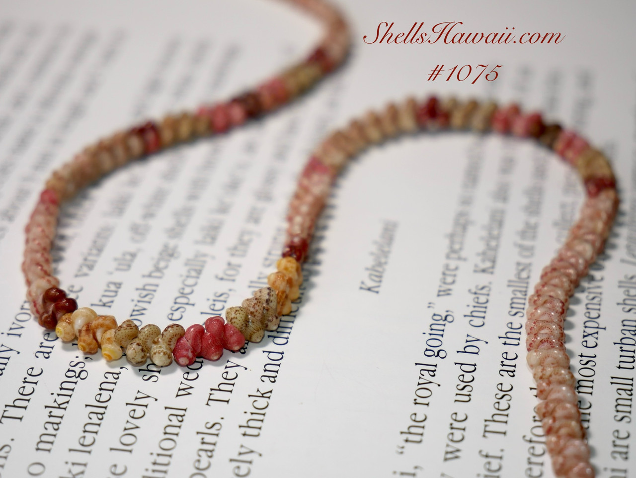 20 1/4" Niʻihau Kahelelani Shell Lei – Manuʻa Loa Style in Hawaiian ...