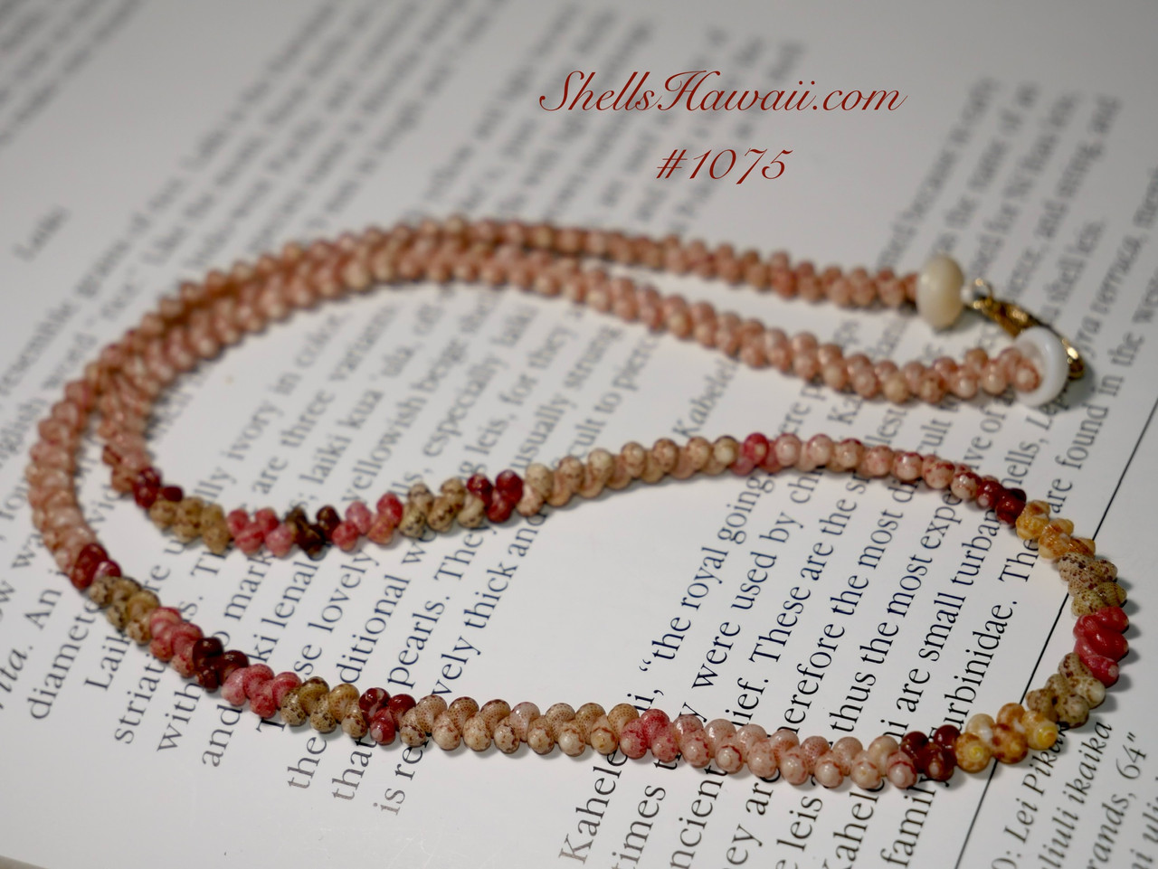 20 1/4" Niʻihau Kahelelani Shell Lei – Manuʻa Loa Style in Hawaiian ...