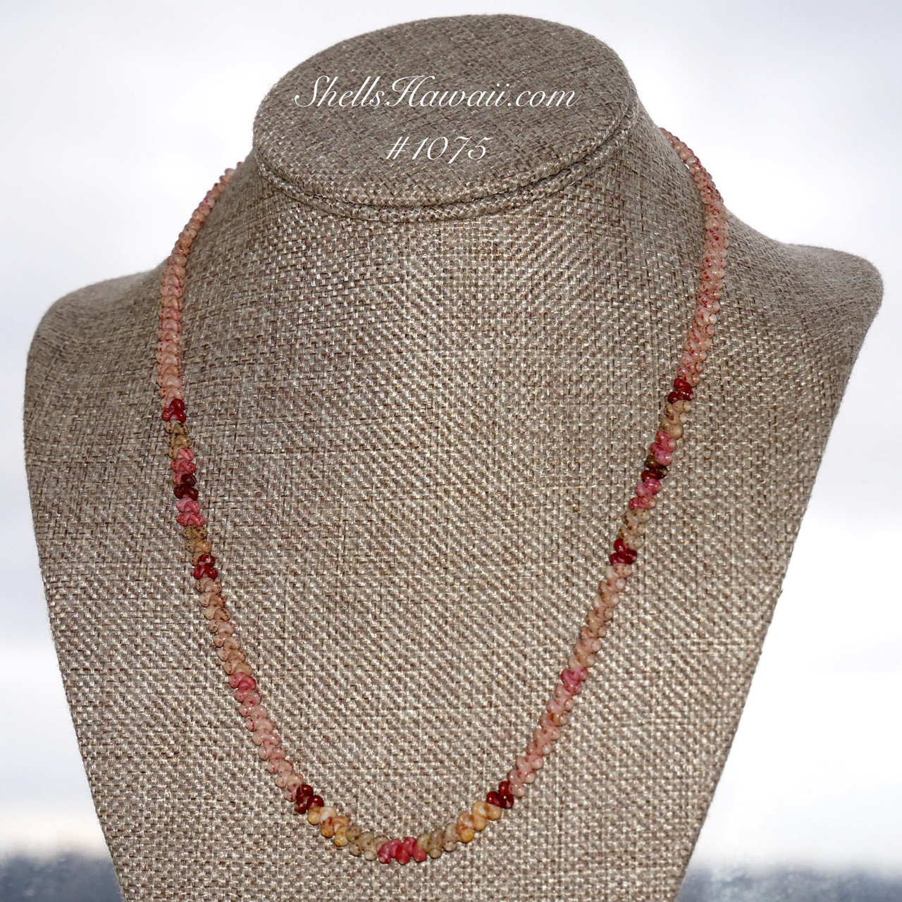 20 1/4" Niʻihau Kahelelani Shell Lei – Manuʻa Loa Style in Hawaiian ...