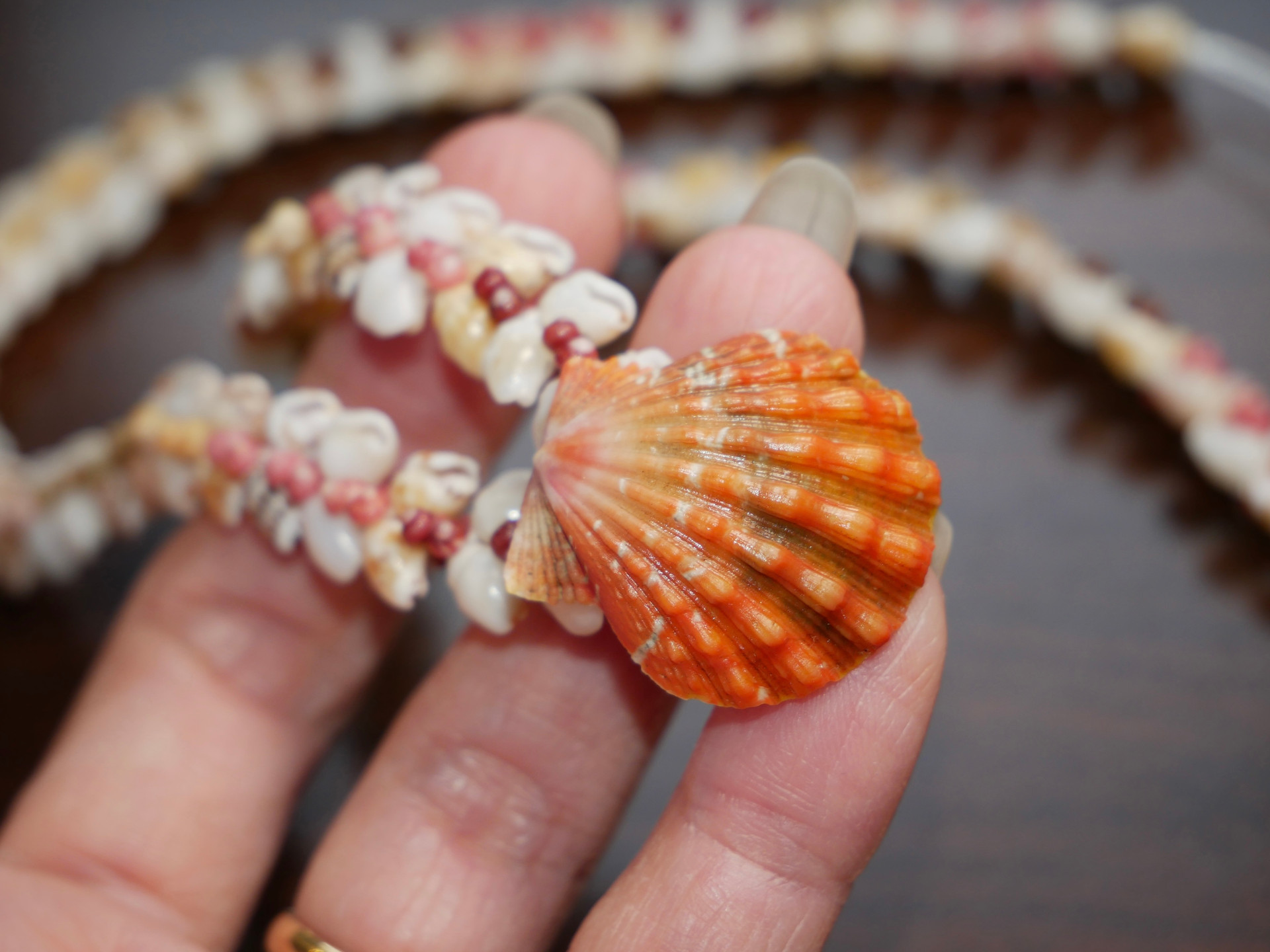 18 3/4” Candy corn Momi, kahelelani& sunrise shell lei #919 ...