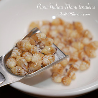 50 pcs yellow Momi shells supply| Pupu Niihau Momi shells| Niihau ...
