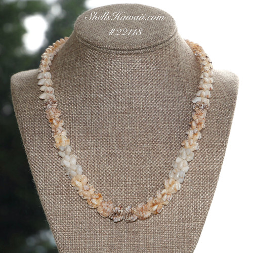 Niihau Momi shell lei - ShellsHawaii.com