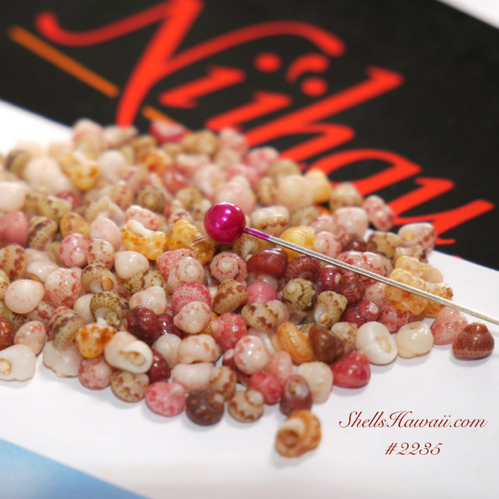 Niihau shell jewelry Made with aloha...by Janjira!