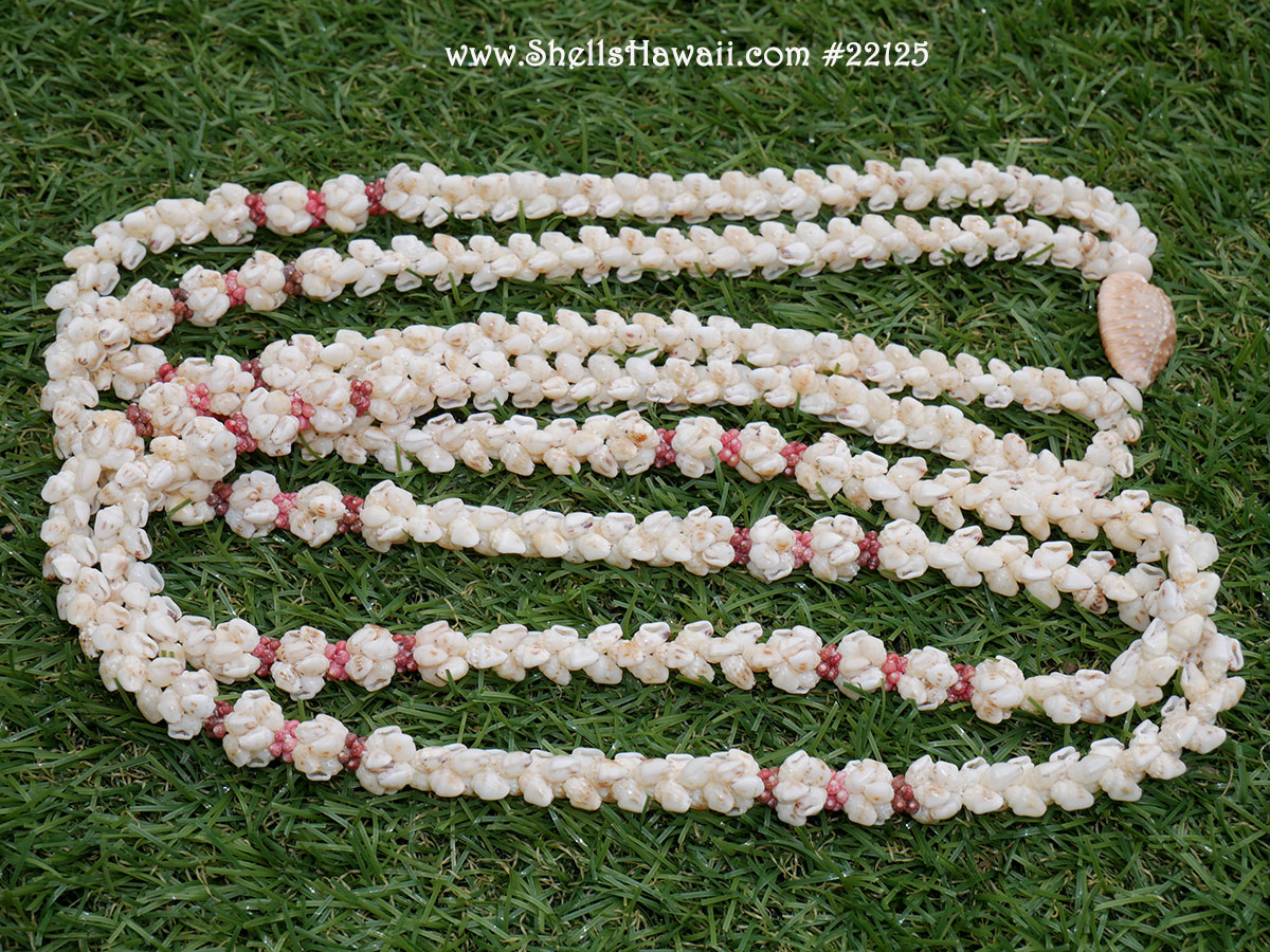 36” double strand, Niihau Momi & Kahelelani shell lei #22125 ...