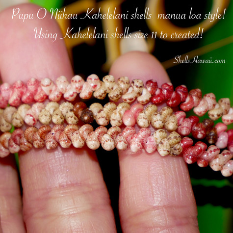 300 pcs Pupu Niihau Kahelelani shells, mix color and they are size 11 ...