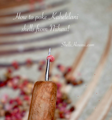 Poking tool /Short length needle - ShellsHawaii.com