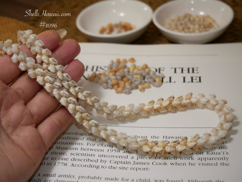 21 1/4" Traditional Pikake Style Lei Made with Momi Shells from Niʻihau ...