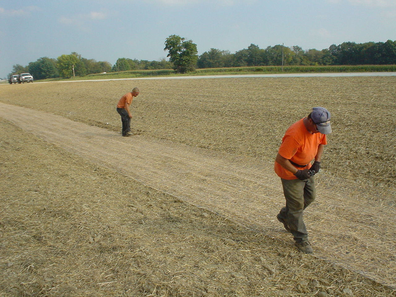 Biodegradable Double Net Straw Erosion Control Blanket 8' x 113' - The ...