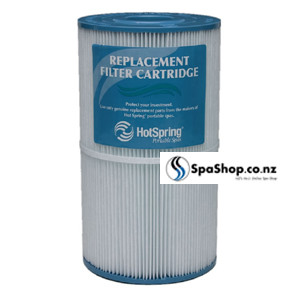 Hot Spring Spa Filter Cartridge No.31489 | Tauranga | NZ