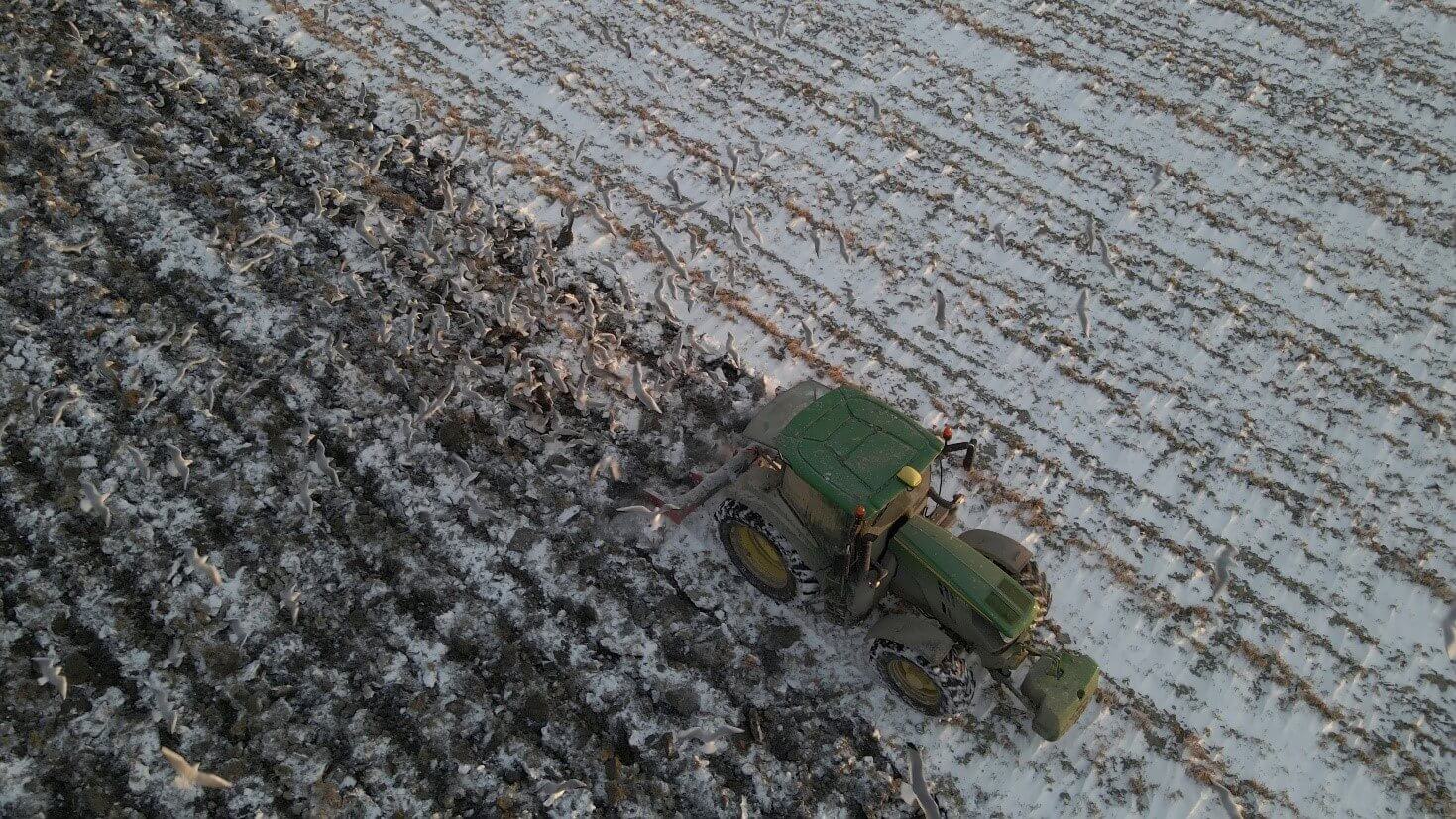 Optimizing Diesel Engines with Cold Weather Additives - Sam-Global ...