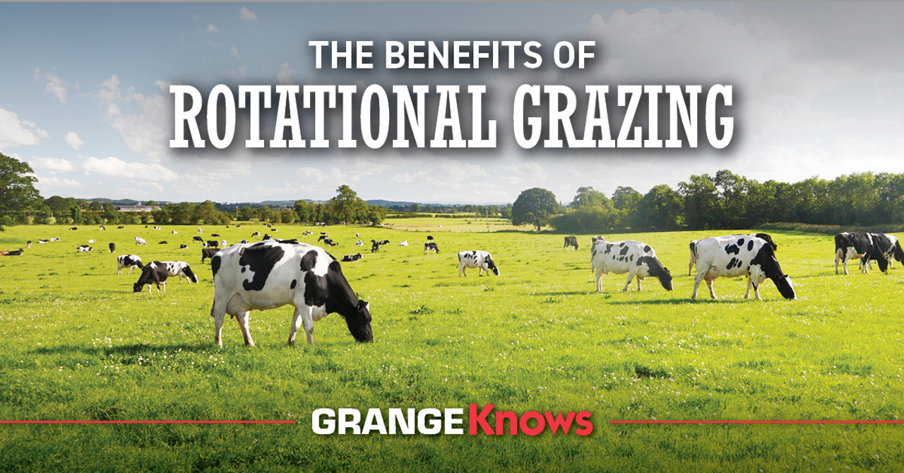 Benefits of Rotational Grazing - Grange Co-op