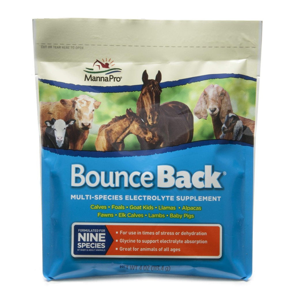 Manna Pro Bounce Back Multi-Species Electrolyte Supplement