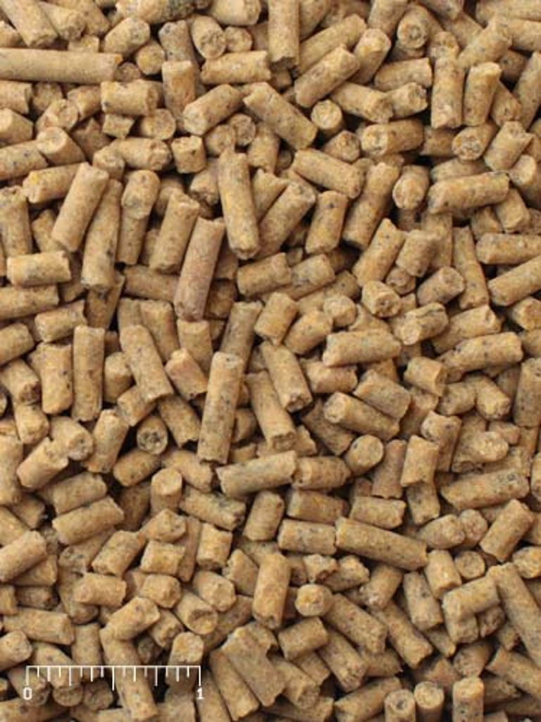 Mazuri Mini Pig Youth Feed