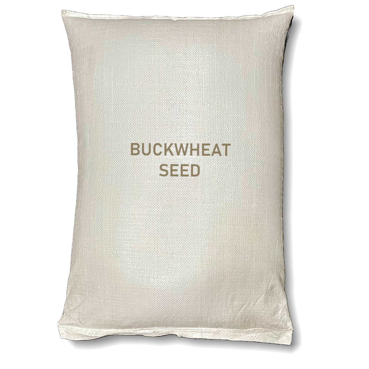 Buckwheat Seed