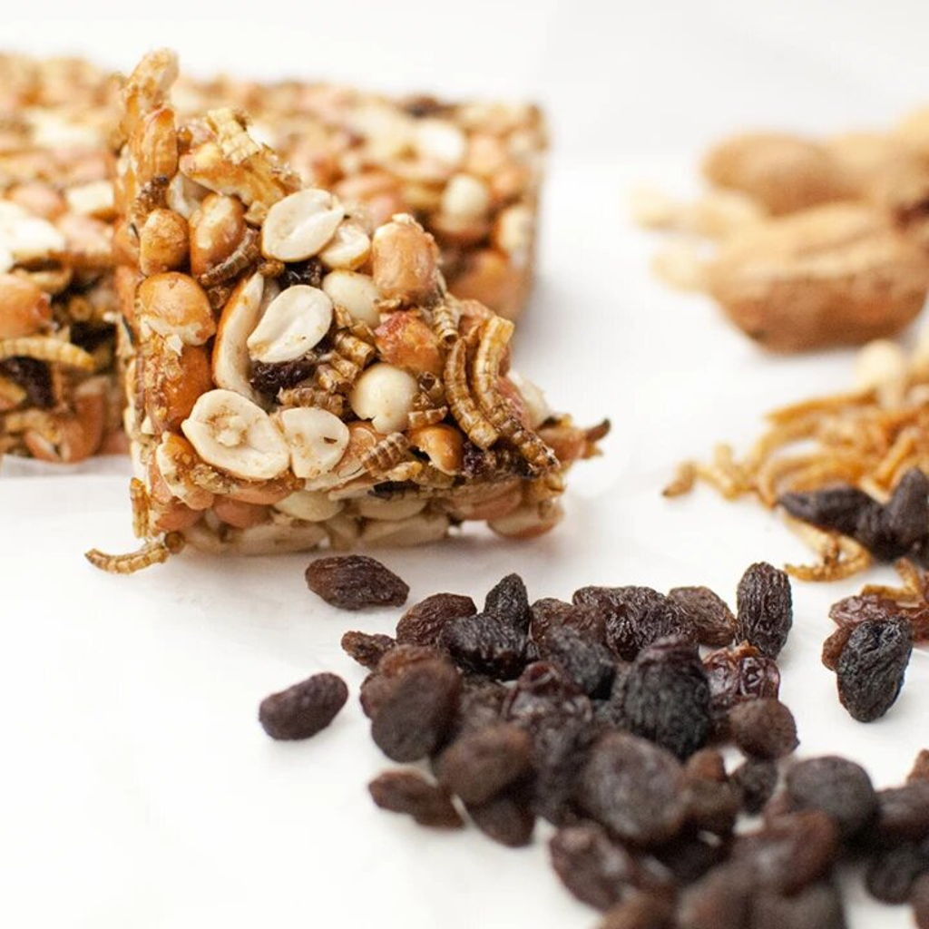 Happy Hen Treats Mealworm & Peanut Treat Square Poultry Treat