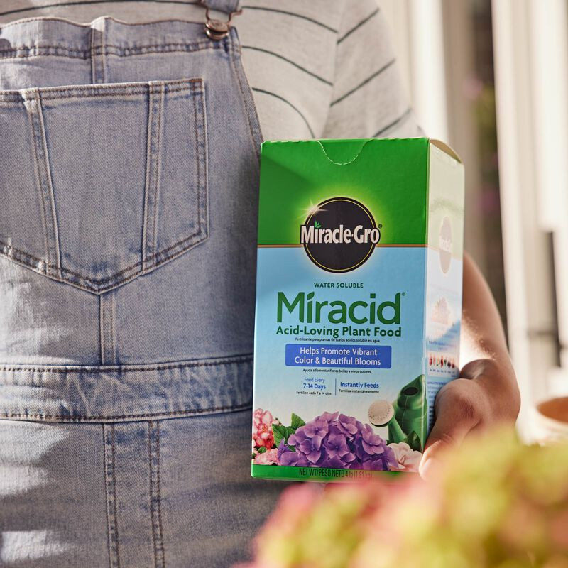 Miracle-Gro Water Soluble Miracid Acid-Loving 30-10-10 Plant Food