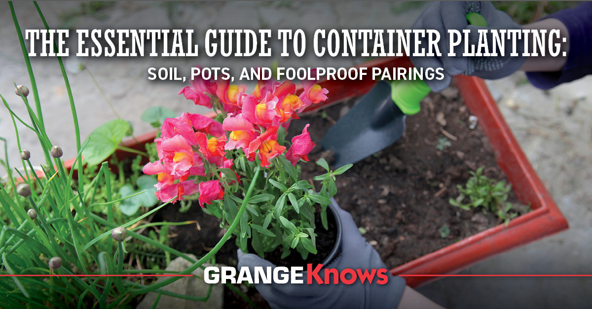 The Essential Guide to Container Planting: Soil, Pots, and Foolproof ...