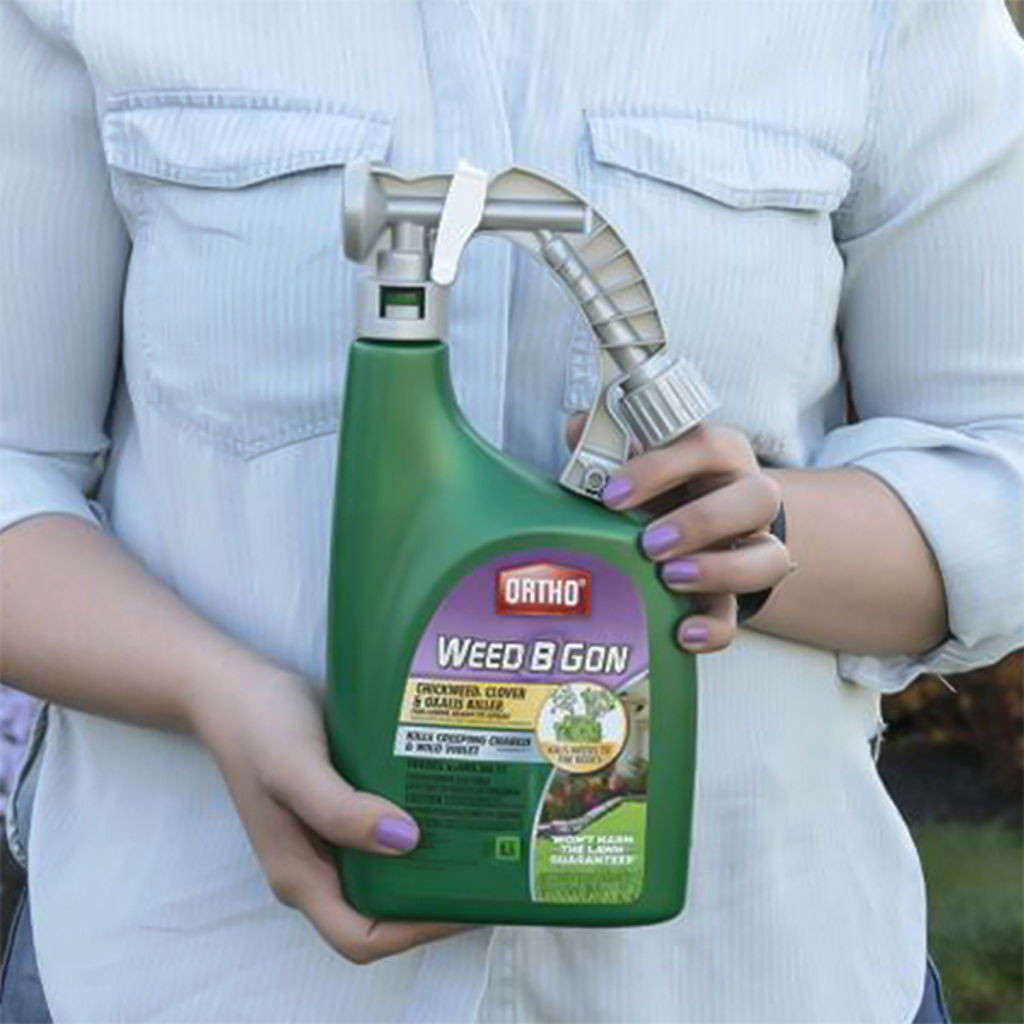 Ortho Weed B Gon Ready-to-spray Chickweed, Clover & Oxalis Killer - 32 ...