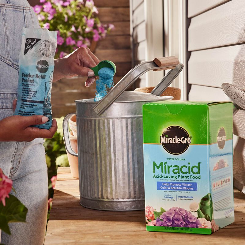 Miracle-Gro Water Soluble Miracid Acid-Loving 30-10-10 Plant Food