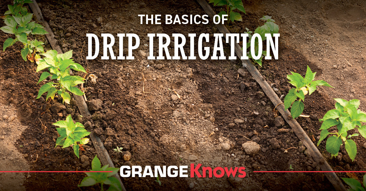 The Basics of Drip Irrigation - Grange Co-op