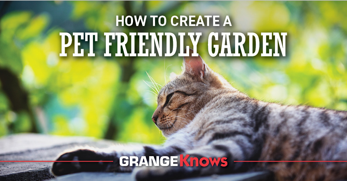 How to Create a Pet-Friendly Garden - Grange Co-op