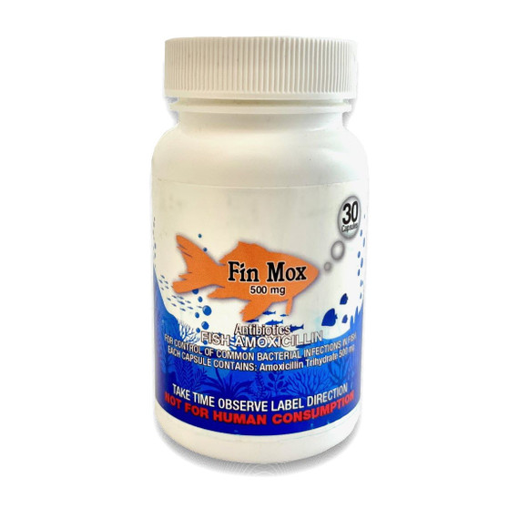 Fin Mox Amoxicillin 500 mg Fish Antibiotic