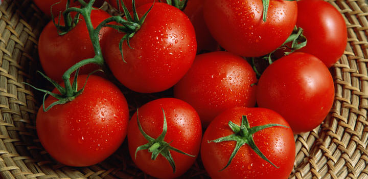 Choosing the Right Tomato - Grange Co-op