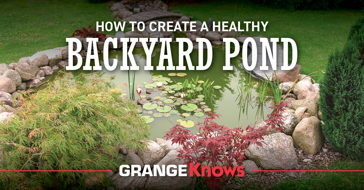 How to Create a Healthy Backyard Pond - Grange Co-op