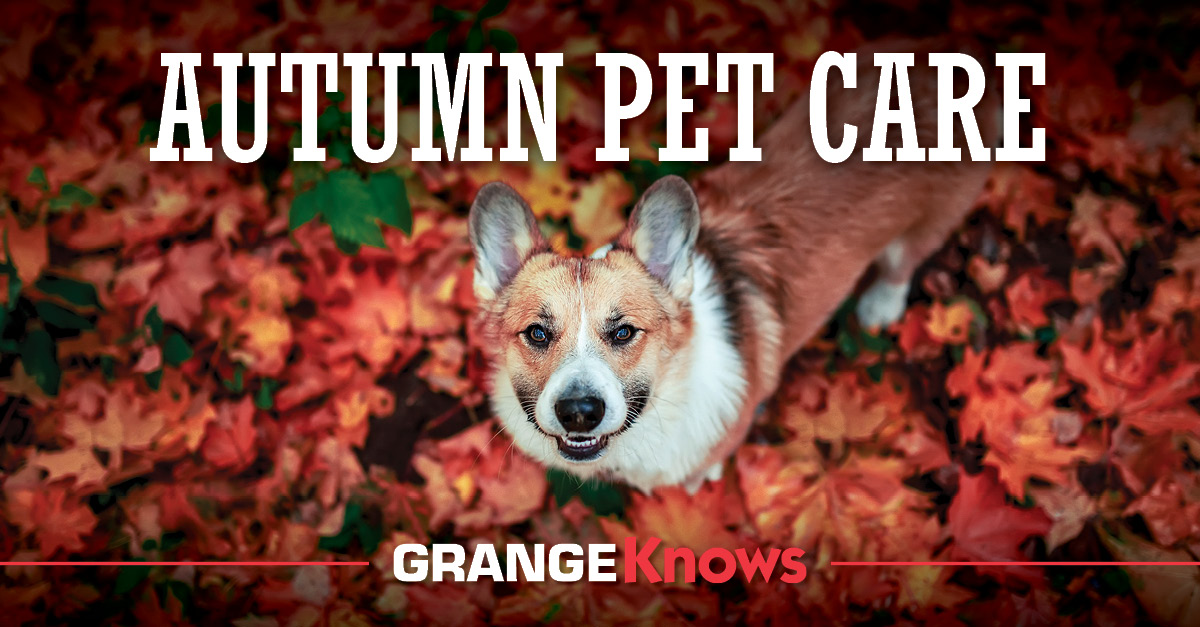 Autumn Pet Care - Grange Co-op