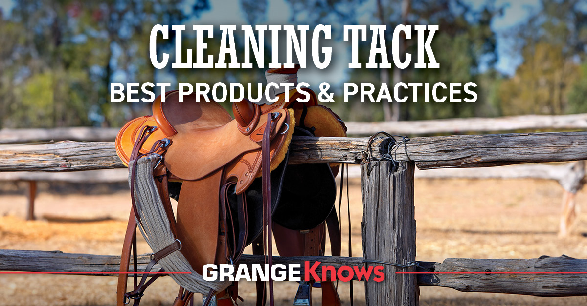 Cleaning Tack — Best Products and Practices - Grange Co-op