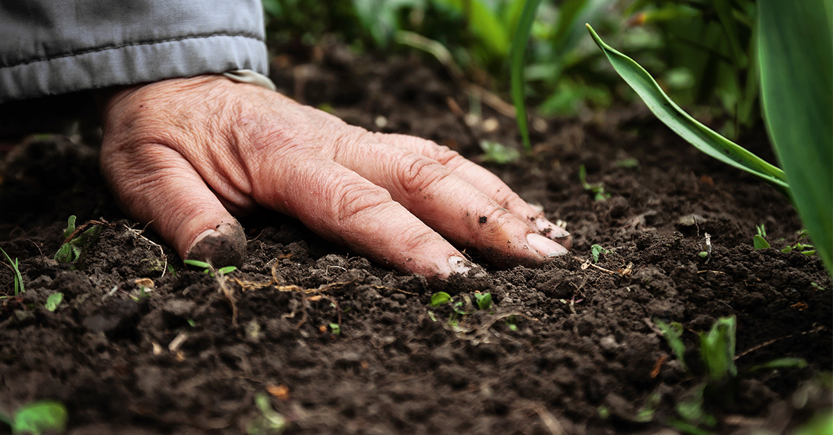 The Value of Organic Manures - Grange Co-op