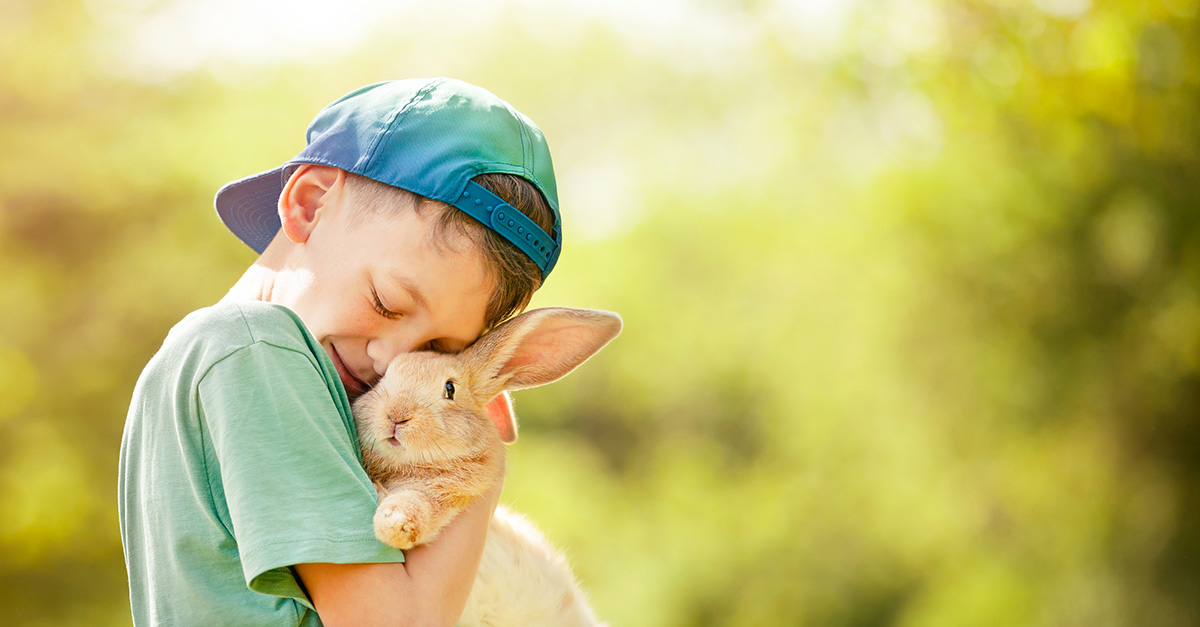 The Rabbit Breed that Best Fits You - Grange Co-op