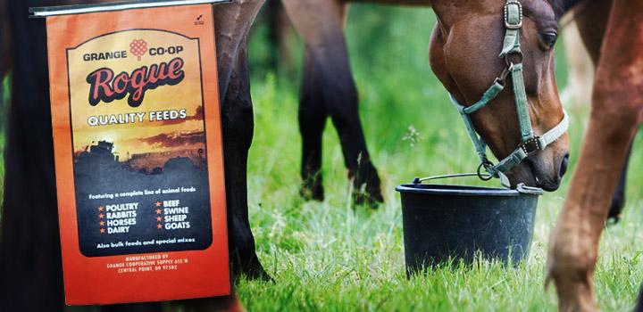 Rogue Corn, Oats, and Barley, (C.O.B.) - Grange Co-op