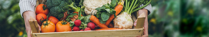 The Nursery at Your Grange Co-op - Grange Co-op