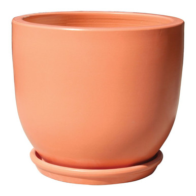 Border Concepts Smooth Egg Pot