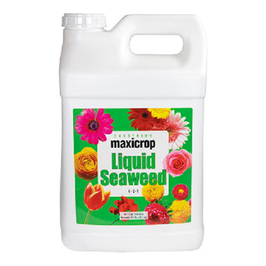Maxicrop Liquid Seaweed Plus Iron 0-0-1 Fertilizer