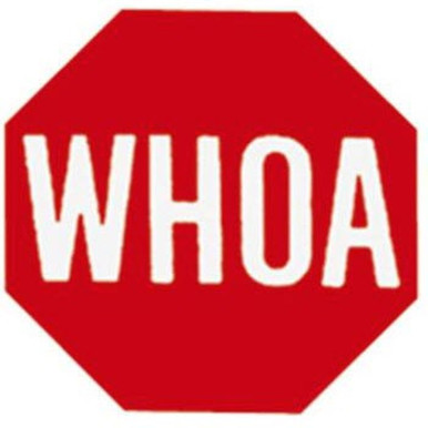 Whoa Sign 12"