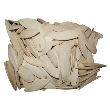 Seed Factory Cuttlebone