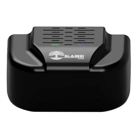 KARE Audio Head Spot SonicCast TV | Bone Conduction Pillow ...