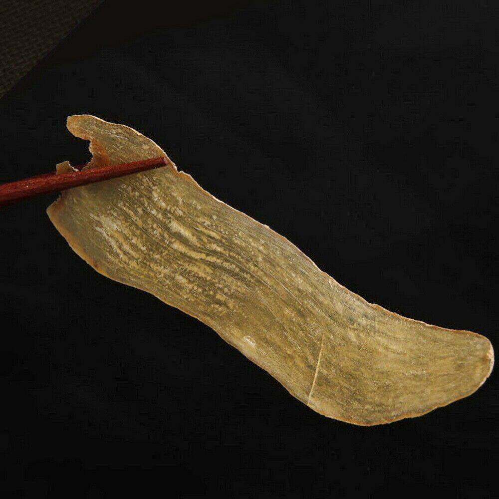 Wild Tian Ma Gastrodia Tuber Root Slices Rhizoma Gastrodiae - Dragon ...