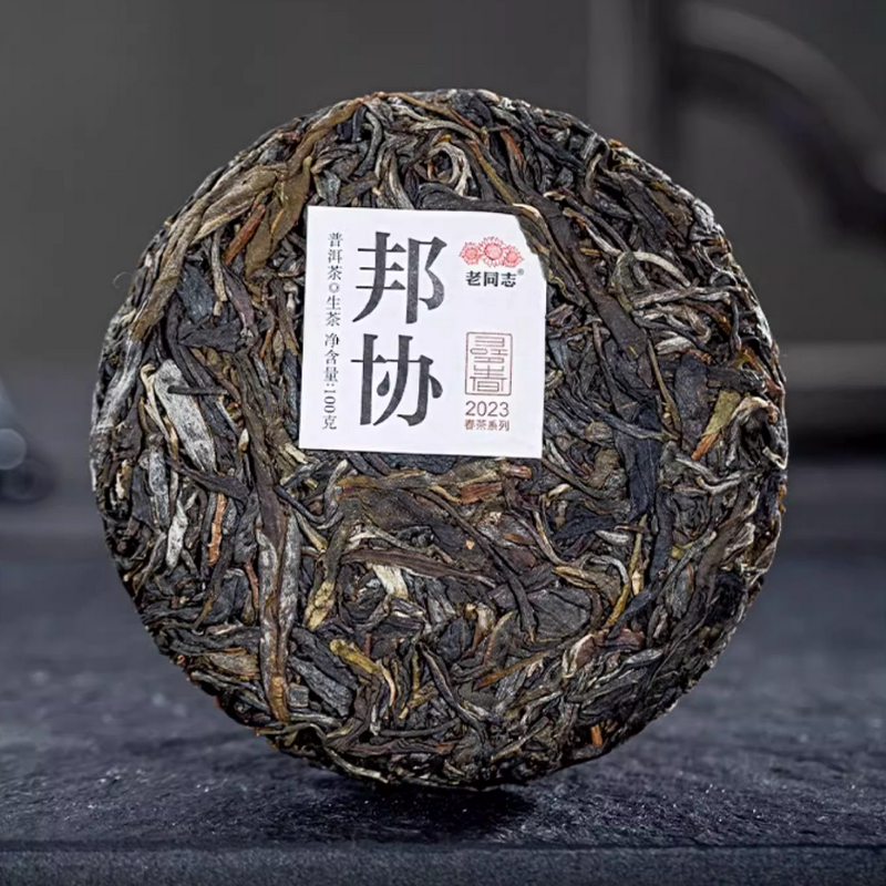 HAIWAN Brand Xun Chun Bang Xie Ancient Tree Pu-erh Tea Cake 2023 100g ...