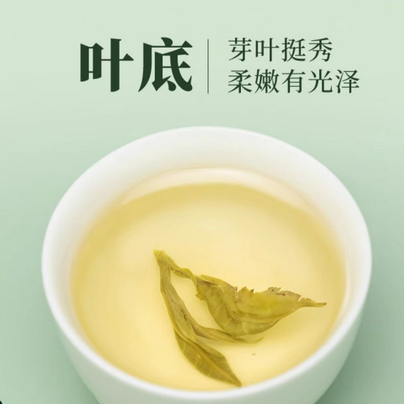 EFUTON Brand Mo Li Long Zhu Jasmine Green Tea 200g*2 - Dragon Tea House