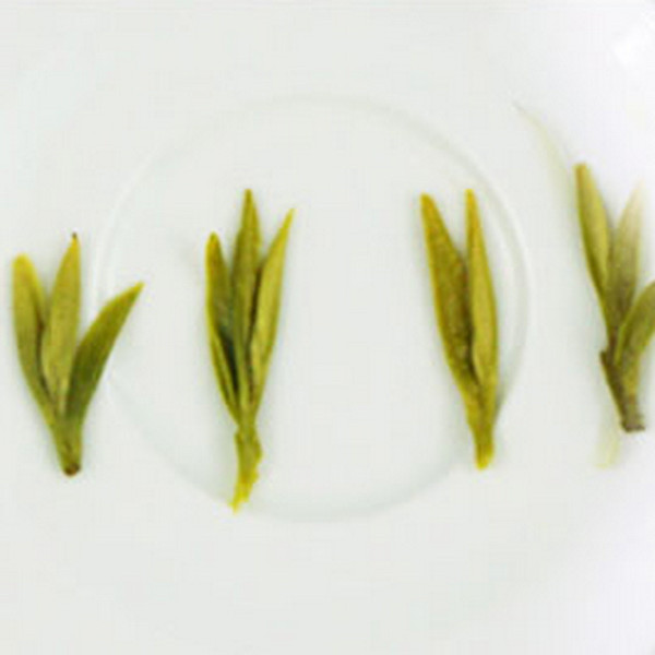 SHIFENG Brand 3A Ming Qian Premium Grade Xihu Long Jing Dragon Well ...