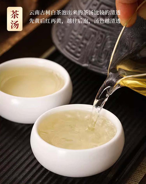 Hand-rolled High Mountain Ancient Tree Yunnan White Tea - Dragon Tea House