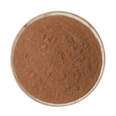 Dang Shen Codonopsis Root Extract Powder 50:1 - Dragon Tea House