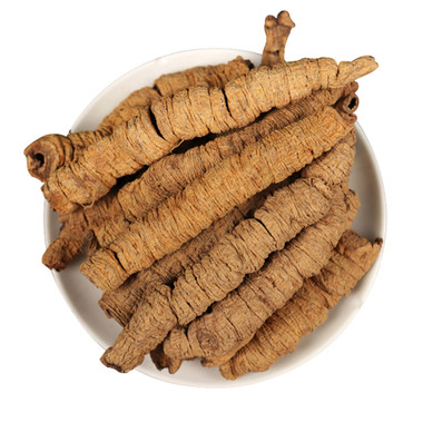Premium Wild Large Ba Ji Tian Morinda Officinalis Root - Dragon Tea House