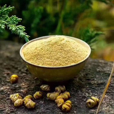 Organic Wild Natural Shihu Herbal Dendrobii Dendrobium Stem Powder ...