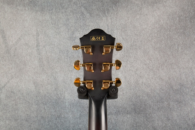 Ibanez AEG24II-TGB Electro-Acoustic Guitar Transparent Grey Burst 2nd ...